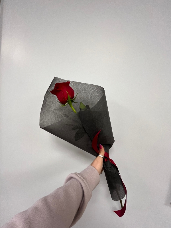 Single stem Rose – buy online or call 07511 468156